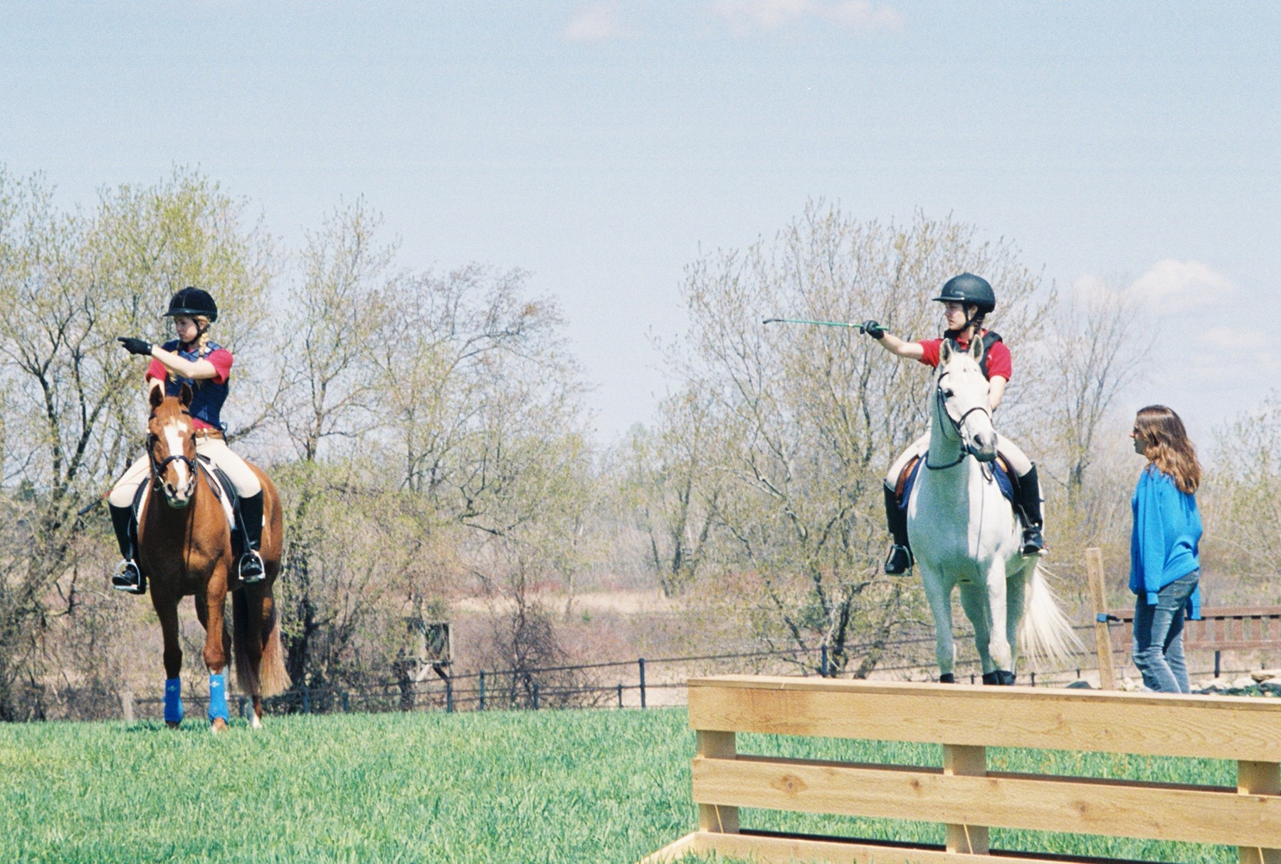 Diva: The Student Becomes the Teacher - YourDressage