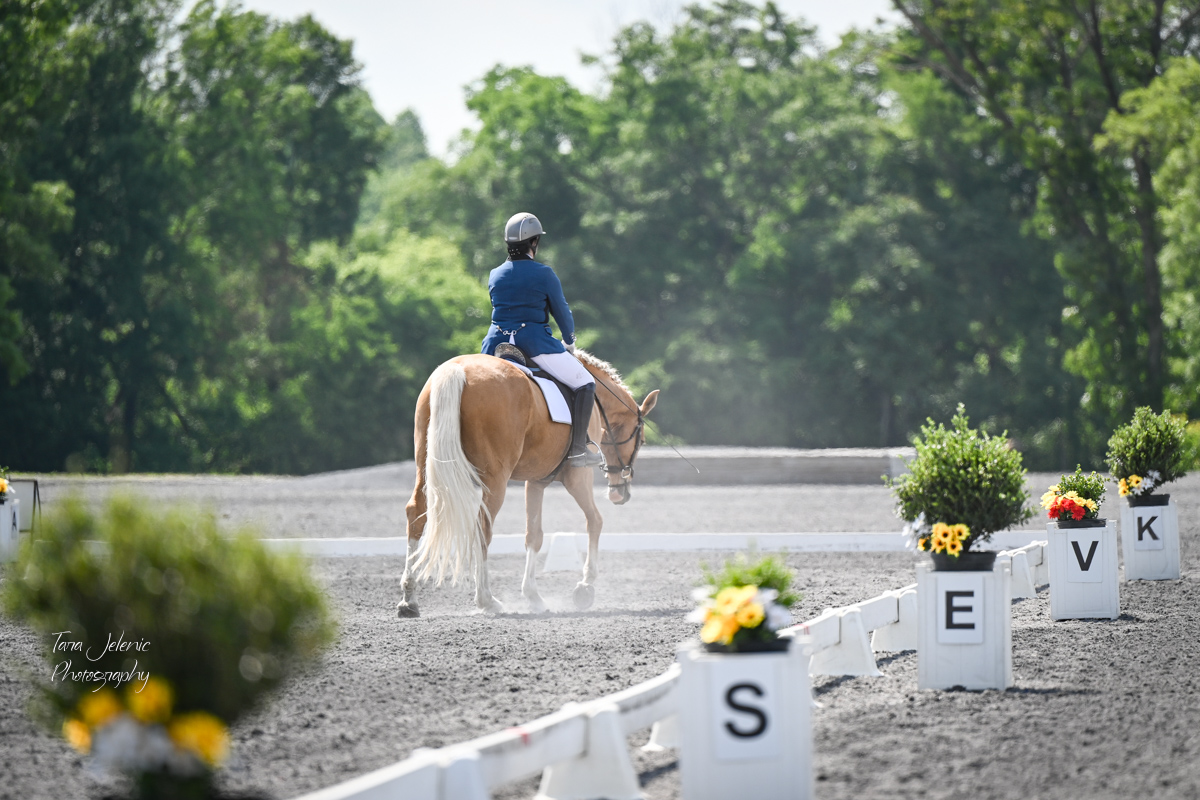 Relaxation - YourDressage