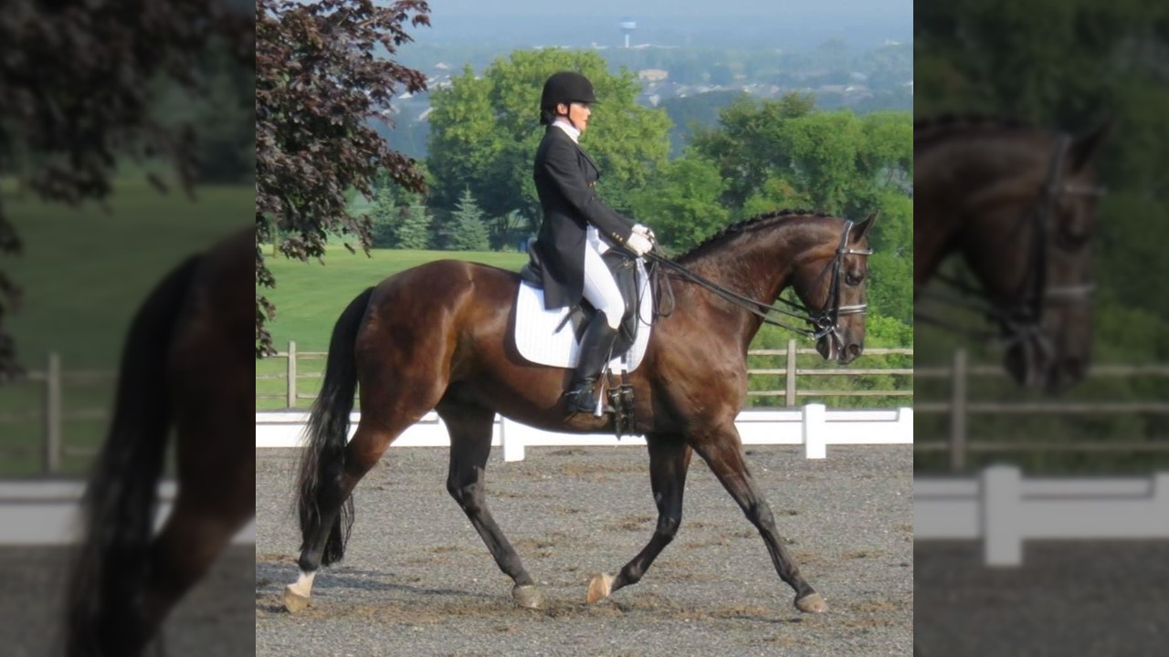 Cancer-Free on Centerline - YourDressage