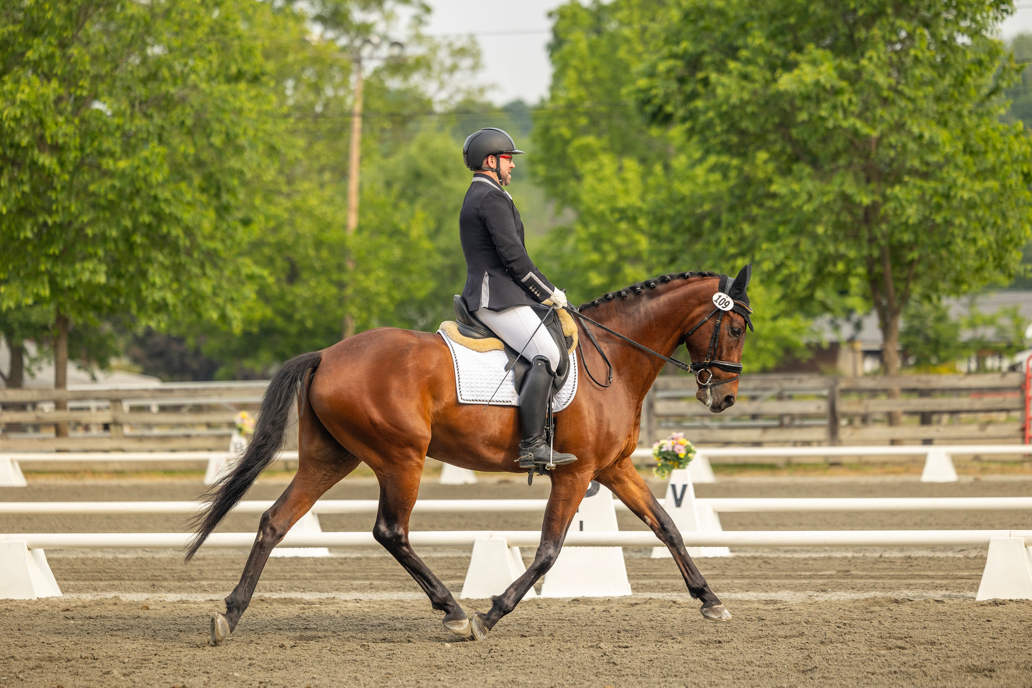 Meet the L Graduate with Distinction – Matthew Beasley - YourDressage