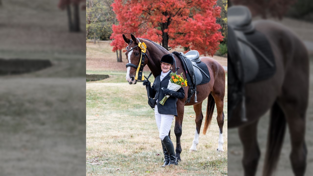 A Swan Song for Slogan - YourDressage