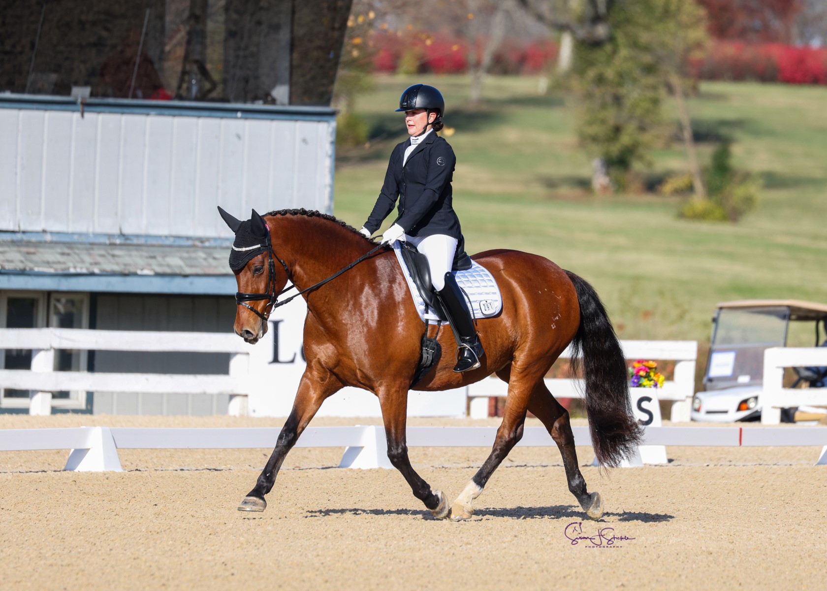 Overflowing with Gratitude - YourDressage