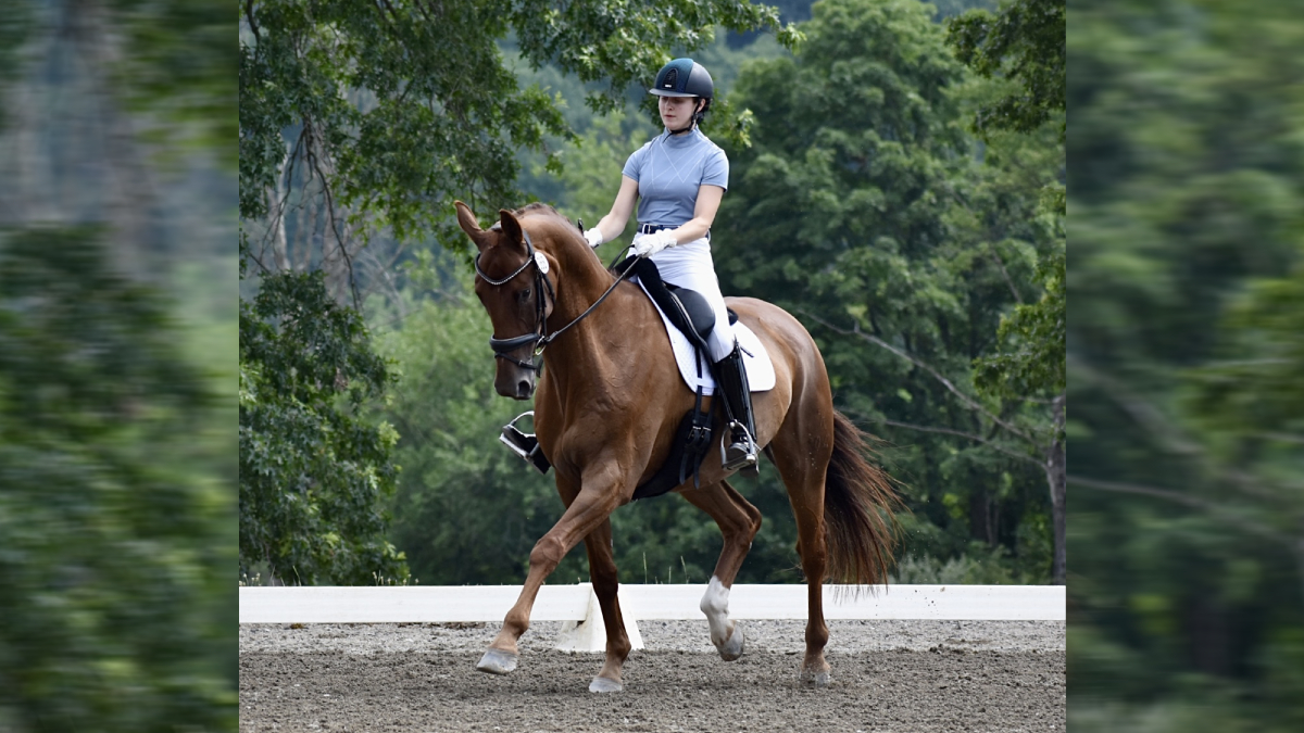 Meet the Participating Member Delegate – Paige Zimmerman - YourDressage