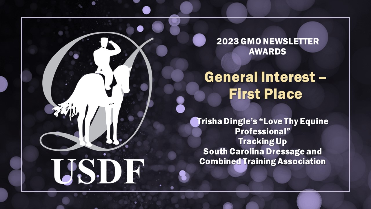 Love Thy Equine Professional - YourDressage.org