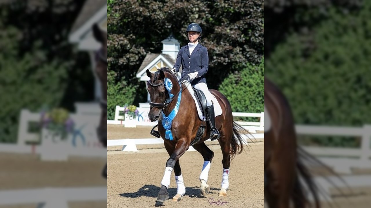 Meet the L Graduate – Sarah Sharpe - YourDressage.org