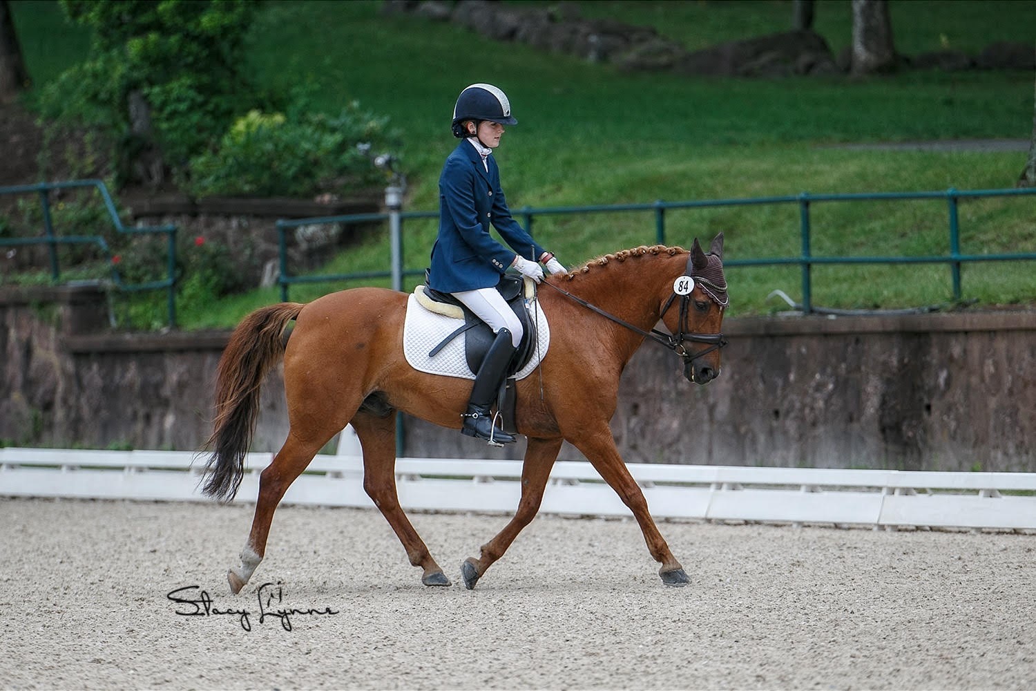 Crown Royal the Canadian Sport Pony - YourDressage.org