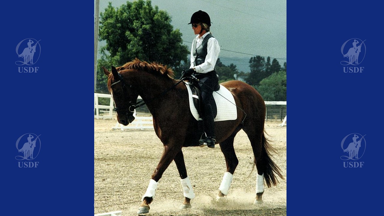 Meet the USDF Team Member – Sharon Vander Ziel - YourDressage