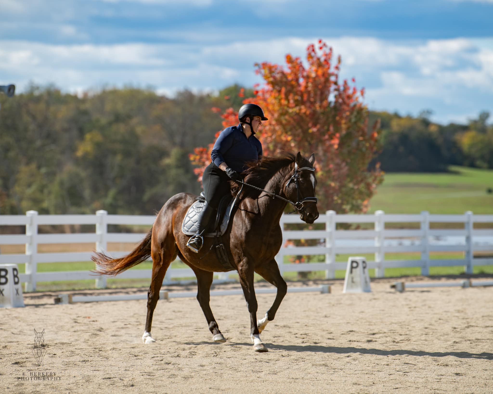 The Comeback Beats the Setback - YourDressage