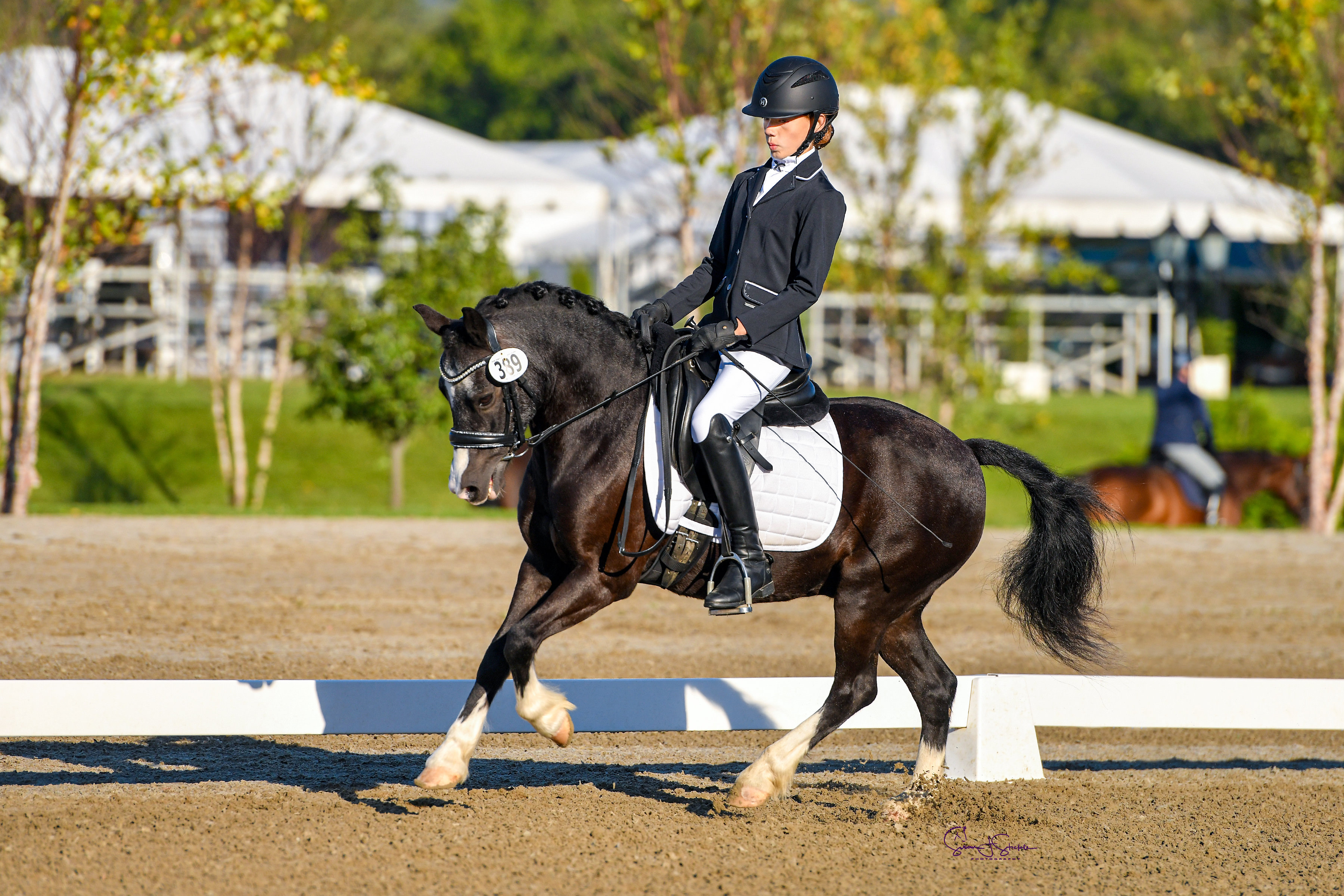 Holy Welsh Pony, Batman! - YourDressage