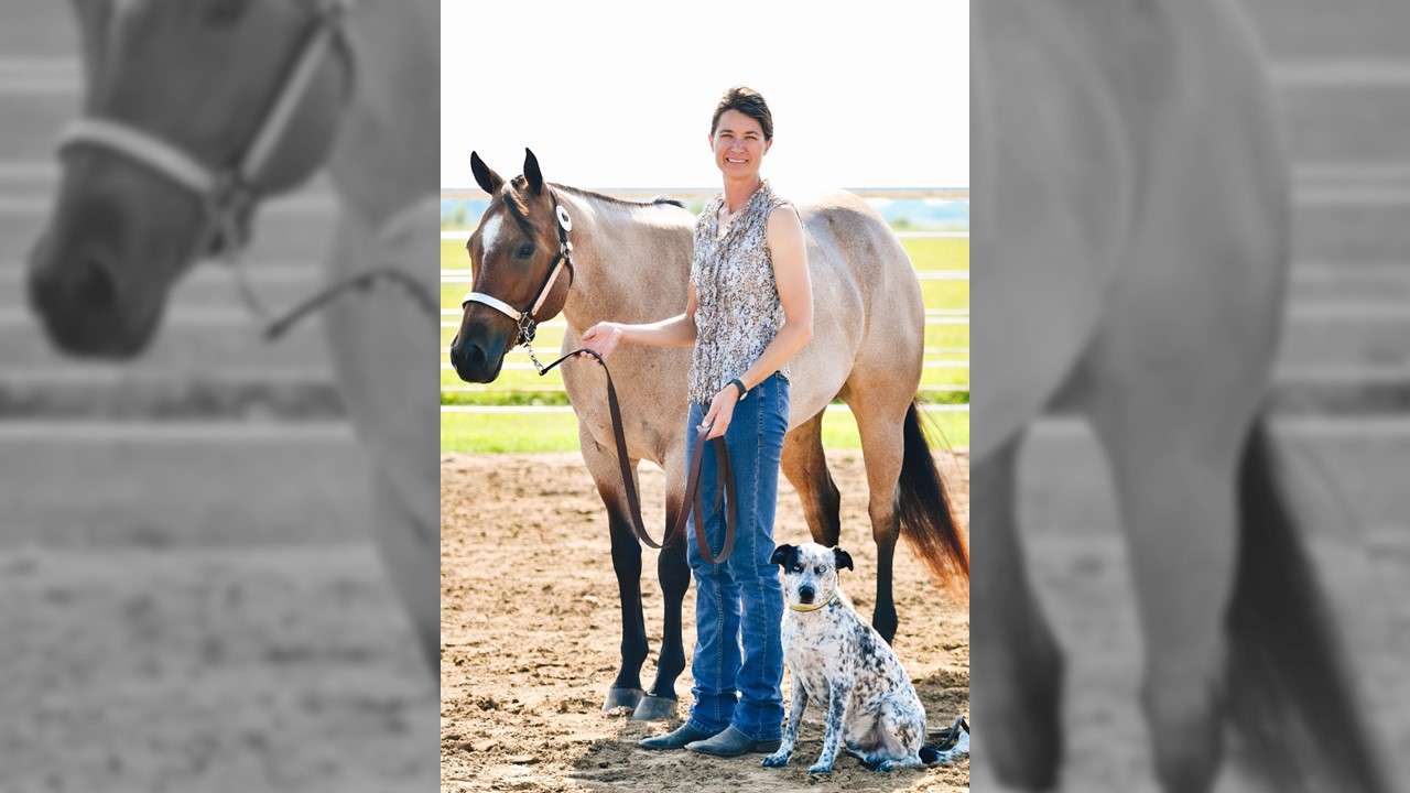The Little Horse That Wouldn’t Go - YourDressage