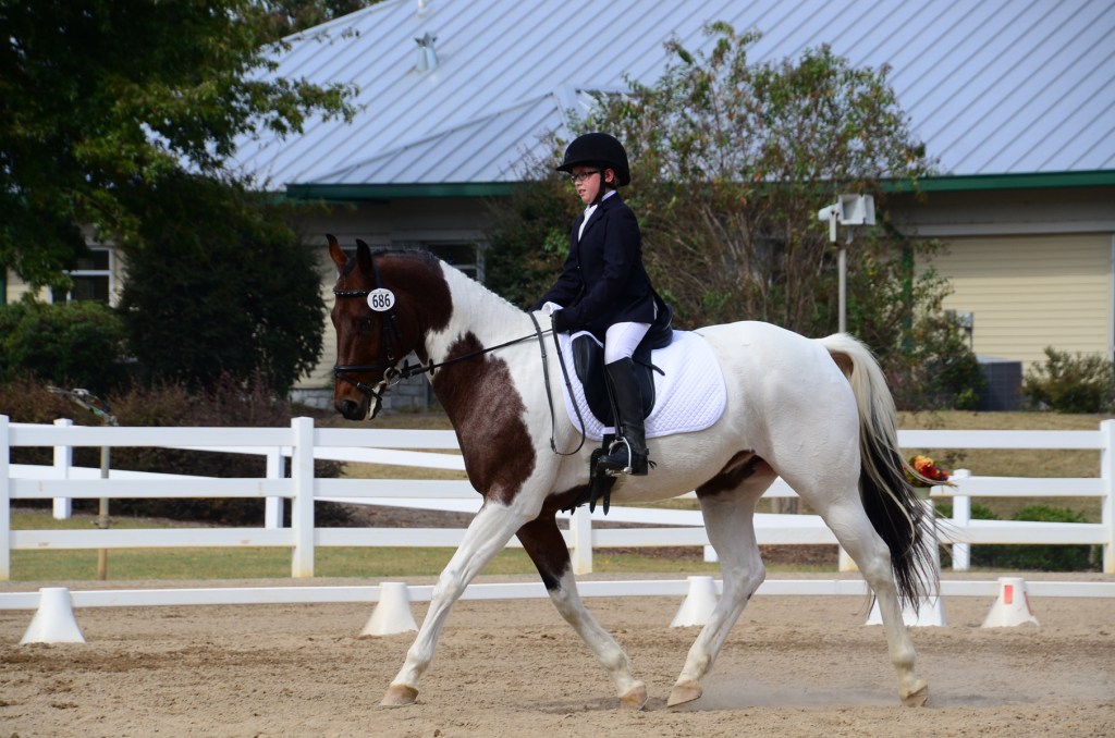 The Color Corner: Painted Ponies - YourDressage