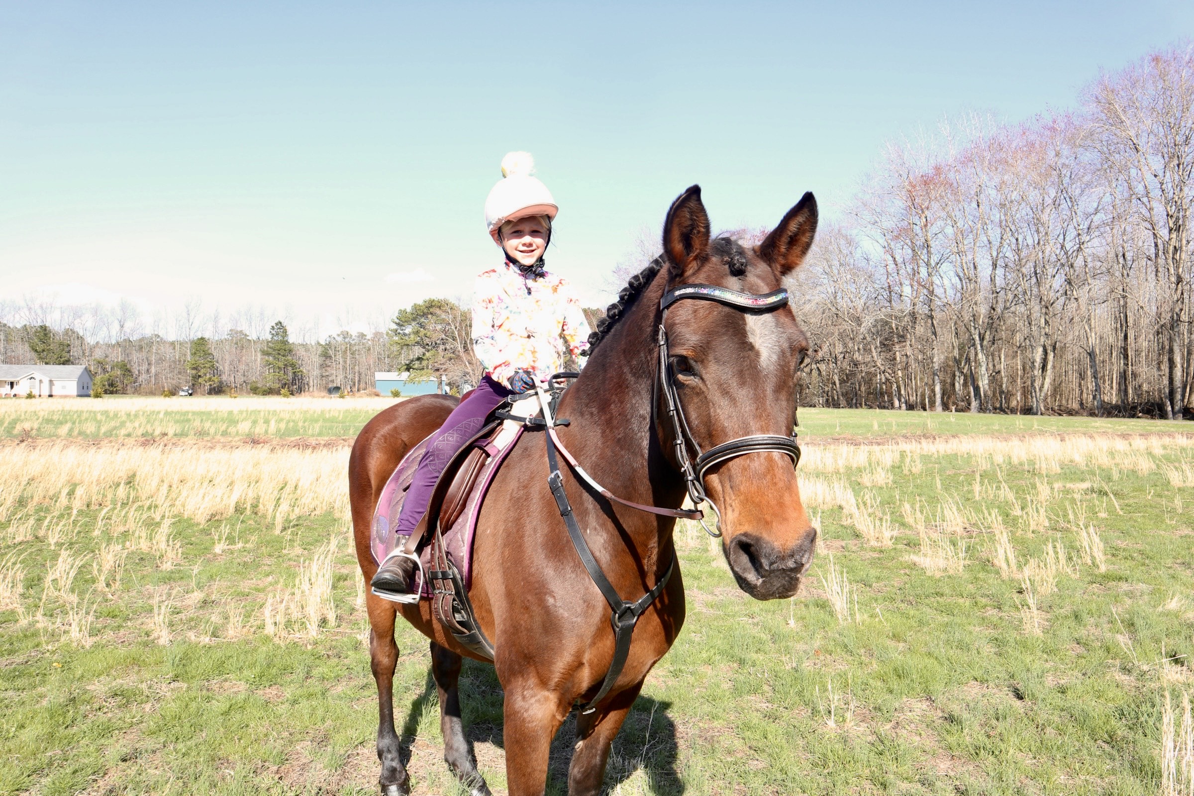 The Mare We (Impatiently) Waited For - YourDressage