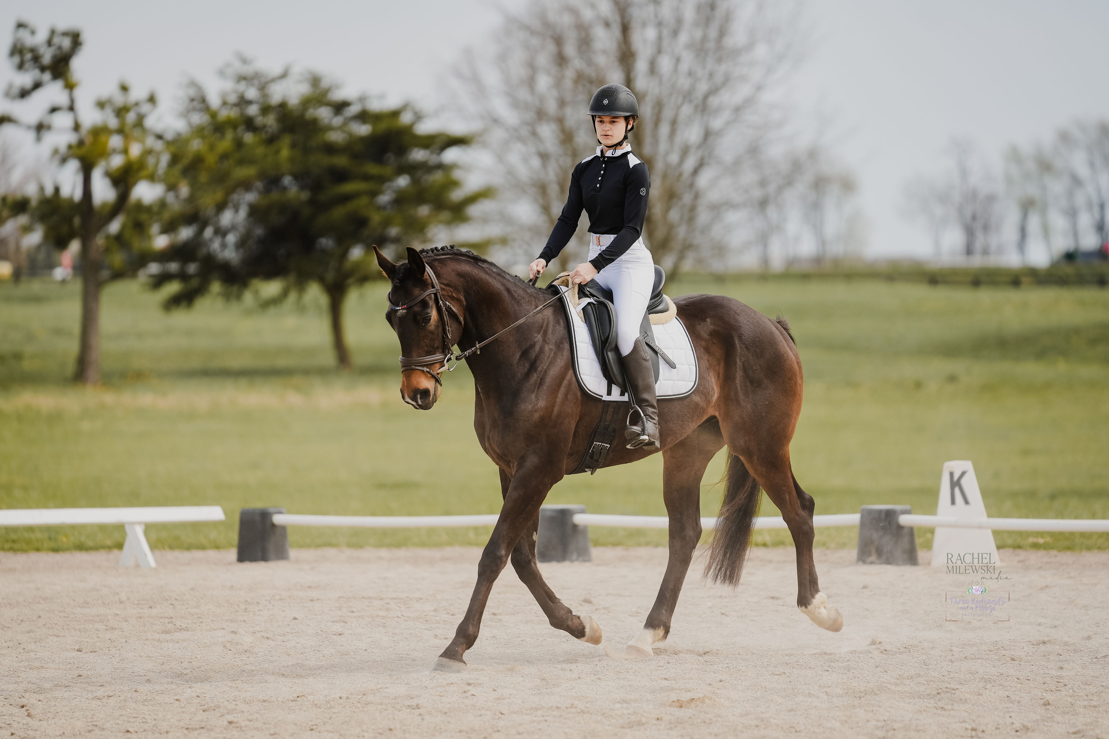 Beyond the Track: Thoroughbreds in The Dressage Ring